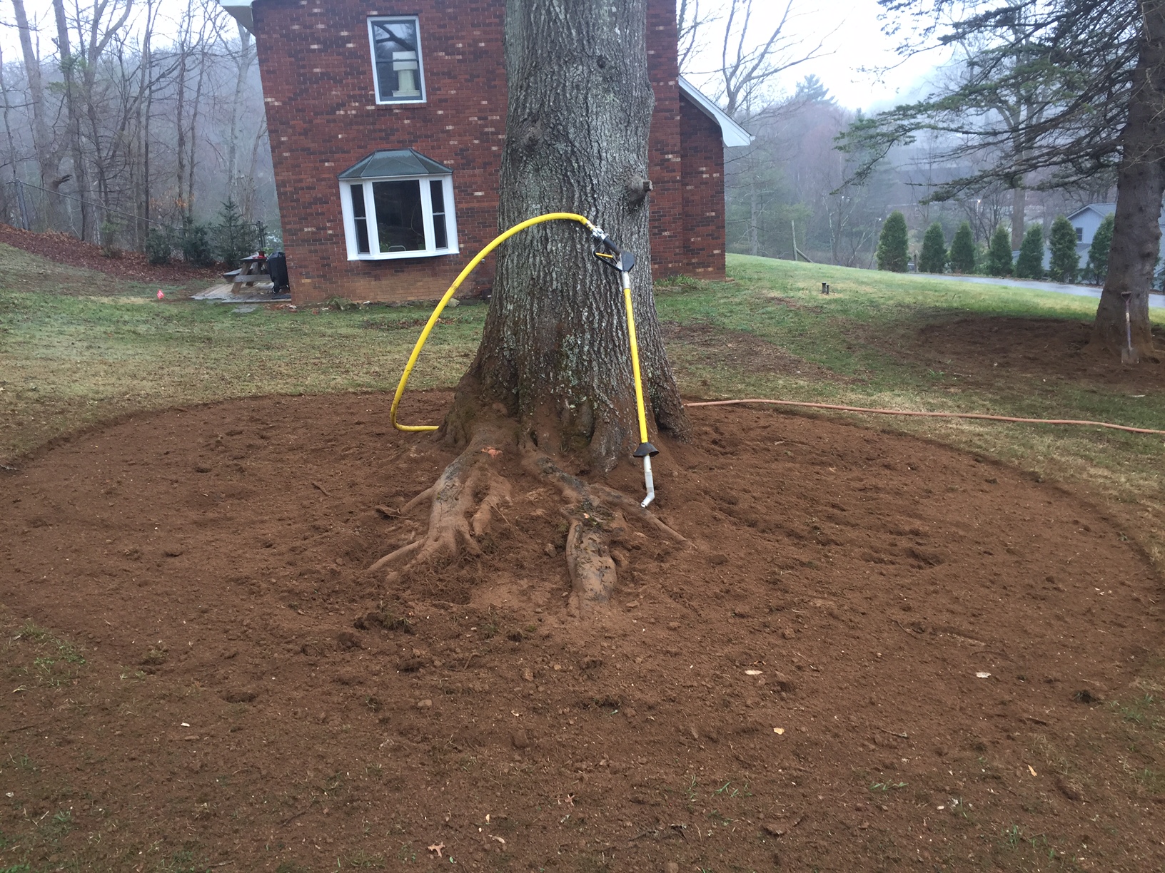 Tree Fertilization - Preservation Tree Care